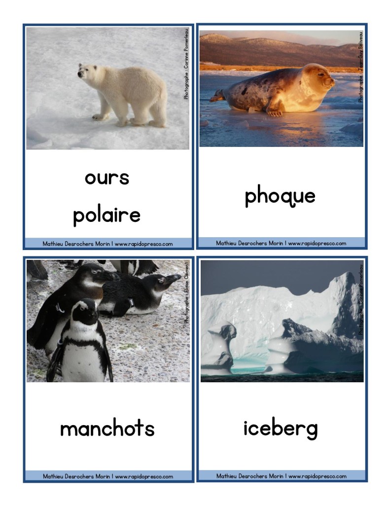 Les mots polaires – Rapido-Présco